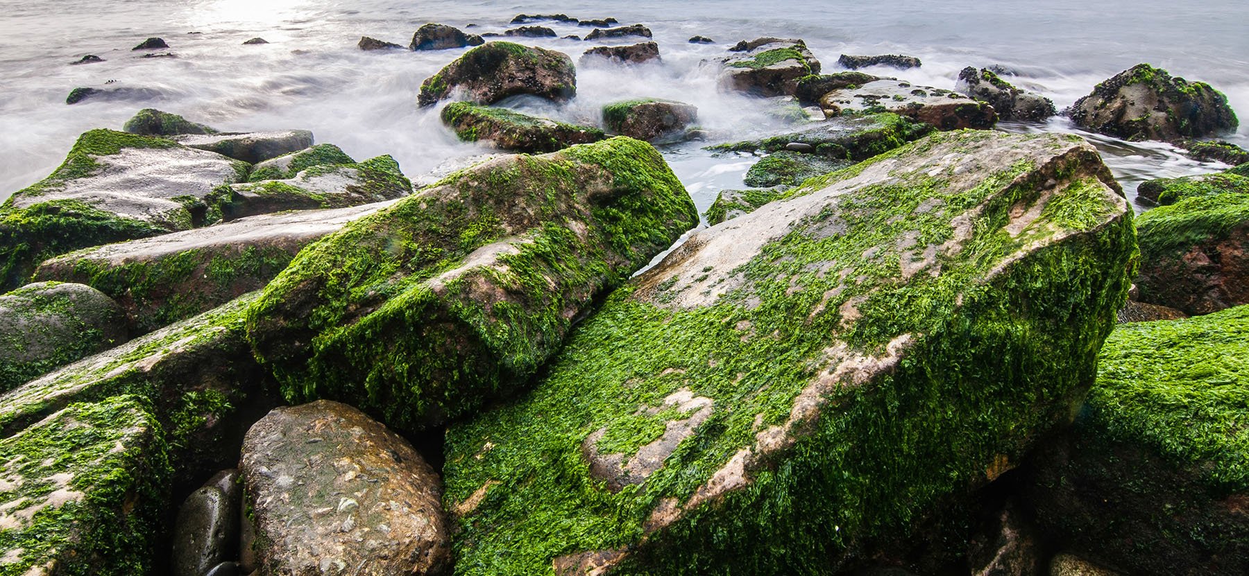 Deploy Bedrock Wordpress site with Moss | Coolwebs